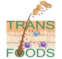 TRANS-FOODS Study - National Eczema Society